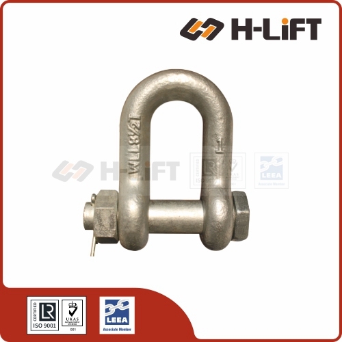 Bolt Type Chain Shackle, Bolt Type Dee Shackle
