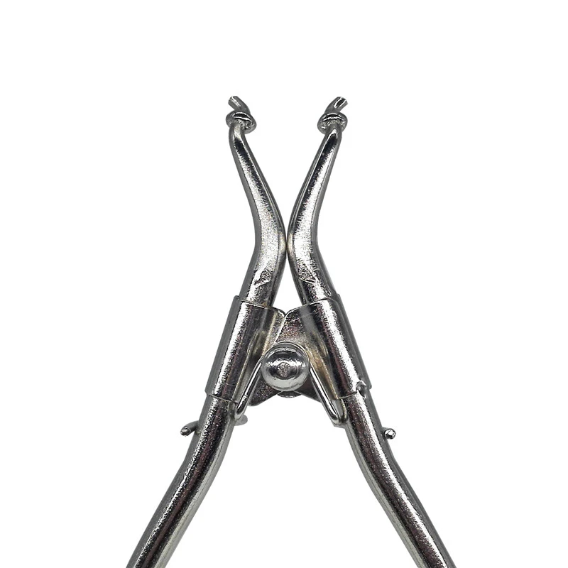 Dental Forceps Matrice Plier F/ installation of Sectional Matrices ...