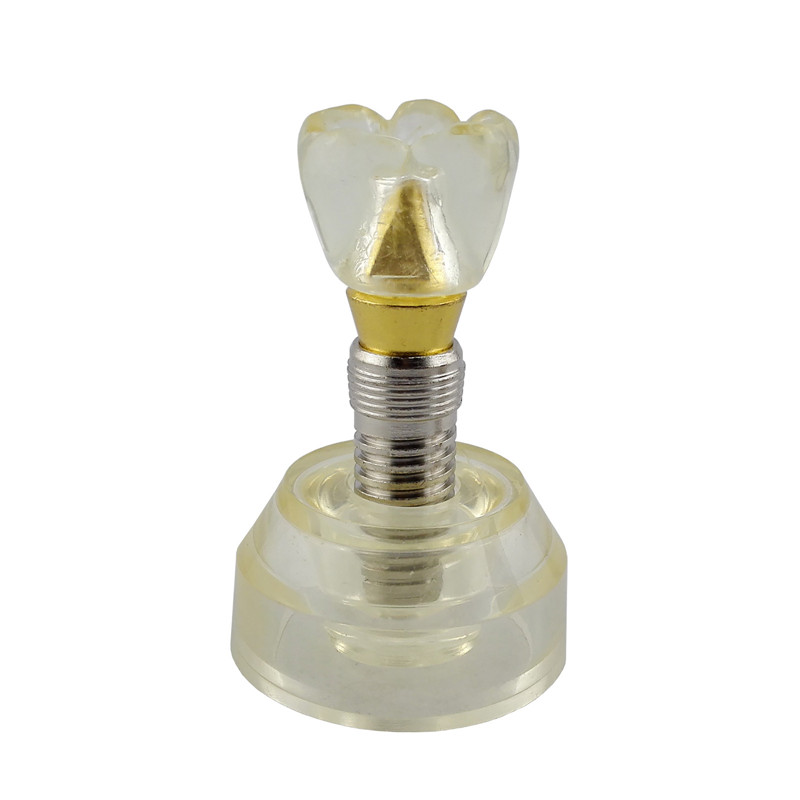 Dental Oral Teach Teaching Study Analysis Demonstration Implant Teeth ...