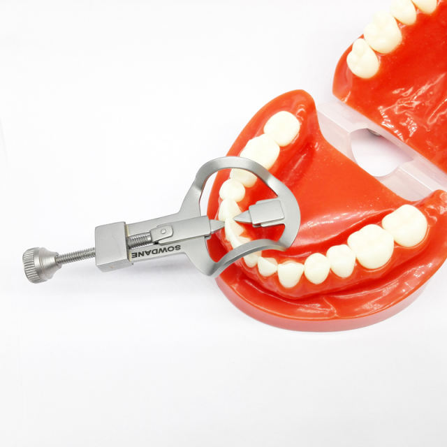 Dental Tooth Divider Retractor Mouth Gag Oral Mouth Opener Separator ...