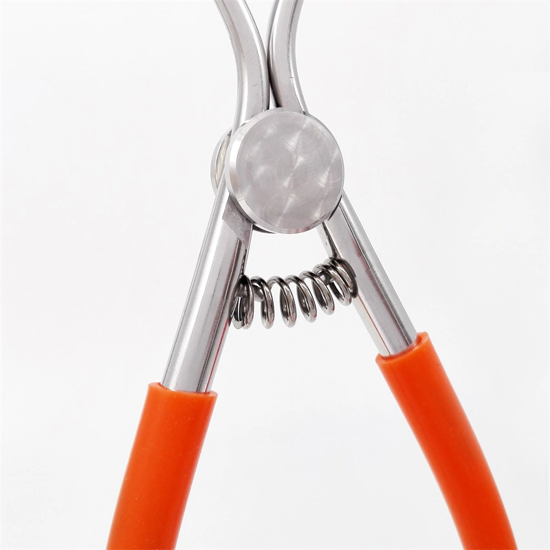 Dental Forceps Matrices Plier Holder Wedge Sectional Contoured Metal ...