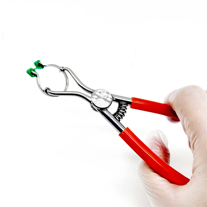 Dental Forceps Matrices Plier Holder Wedge Sectional Contoured Metal ...