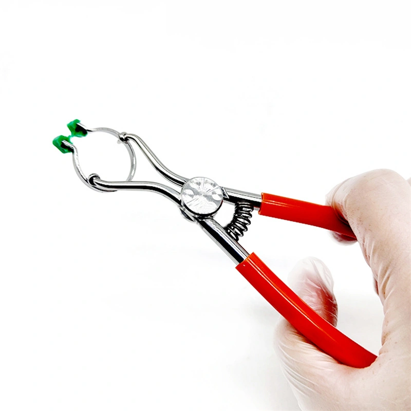 Dental Forceps Matrices Plier Holder Wedge Sectional Contoured Metal ...