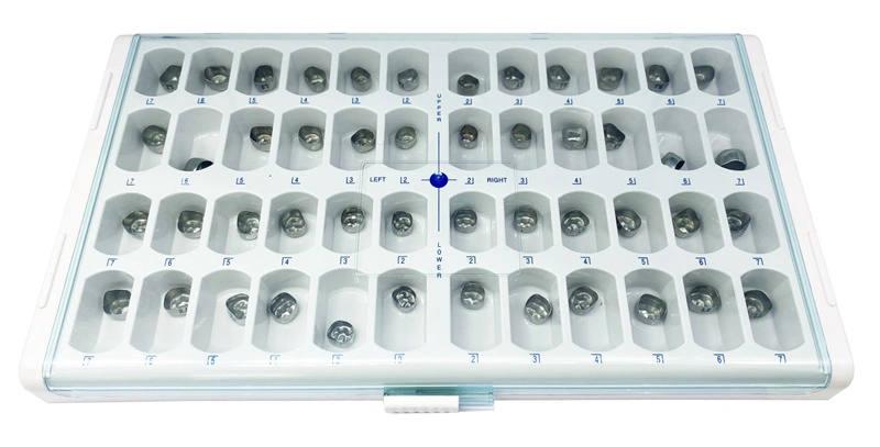 Dental Stainless Steel Adults Primary Molar Crown Pediatric Preformed ...