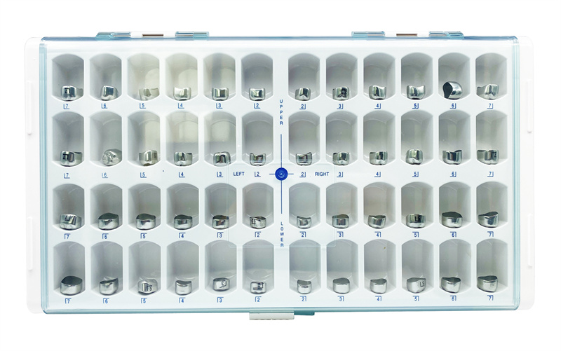 Dental Stainless Steel Adults Primary Molar Crown Pediatric Preformed ...