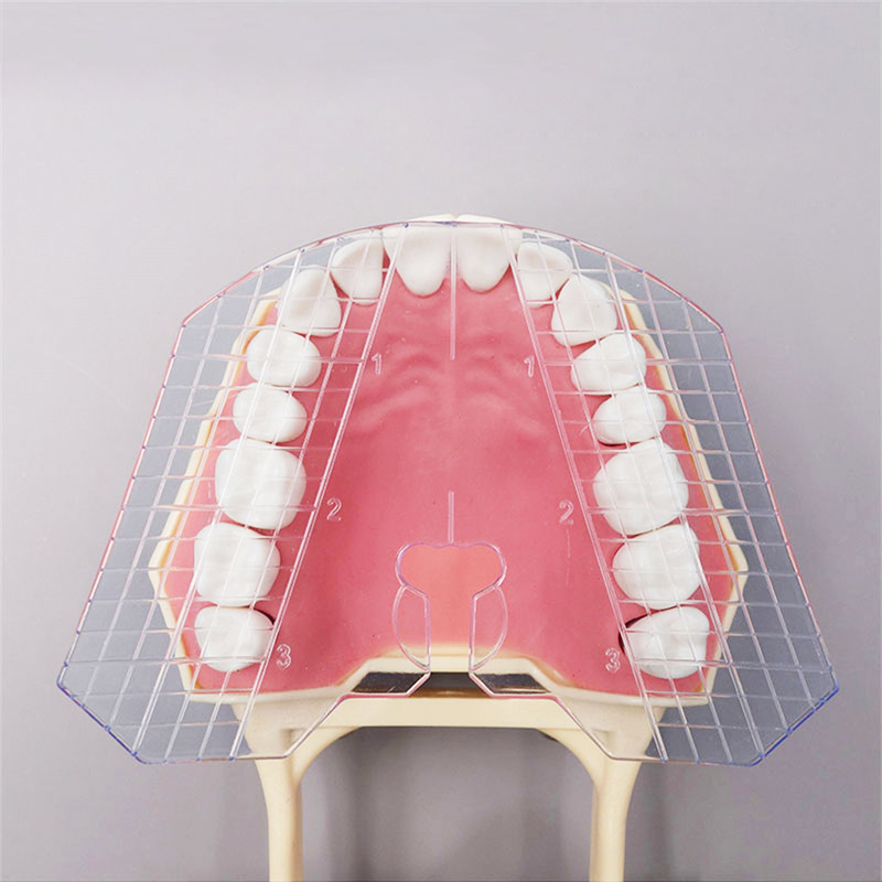 Dental Guide Template Plate Denture False Teeth Arrangement 134℃ Amann ...