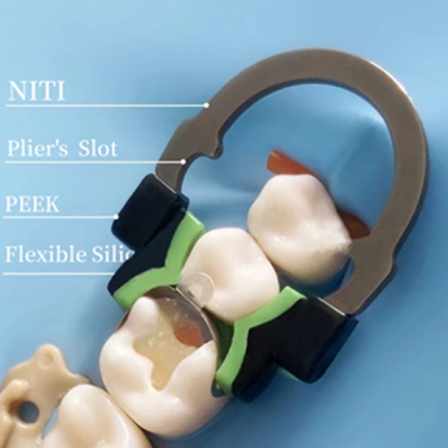 Dental Matrix Bands Ring Sectional Matrice Clamp Fit Garrison Palodent ...