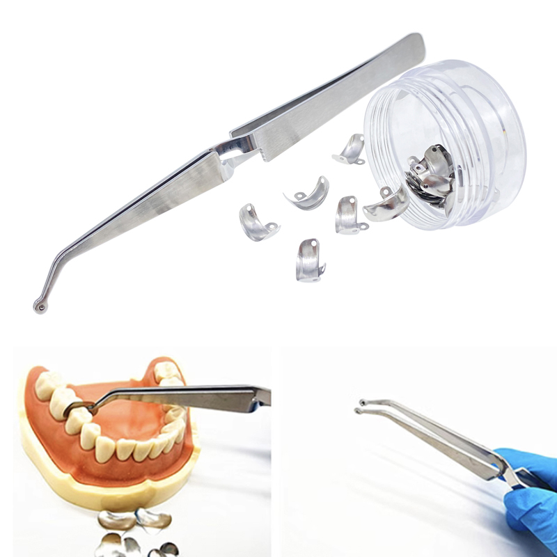 Dental Matrix Holder Clamp Matrices Tweezer Band Forcep Fits V Palodent ...
