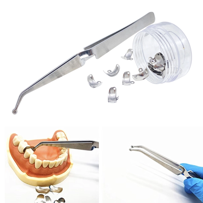 Dental Matrix Holder Clamp Matrices Tweezer Band Forcep Fits V Palodent ...