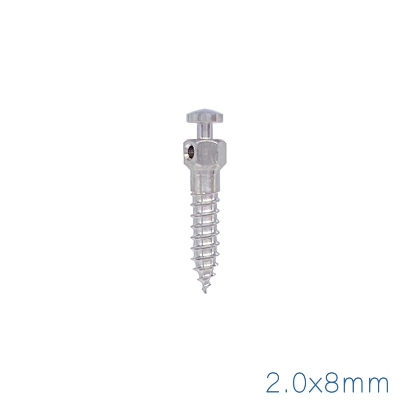 Dental Self-Drilling Thread Orthodontic Micro Implants MINI Screw ...