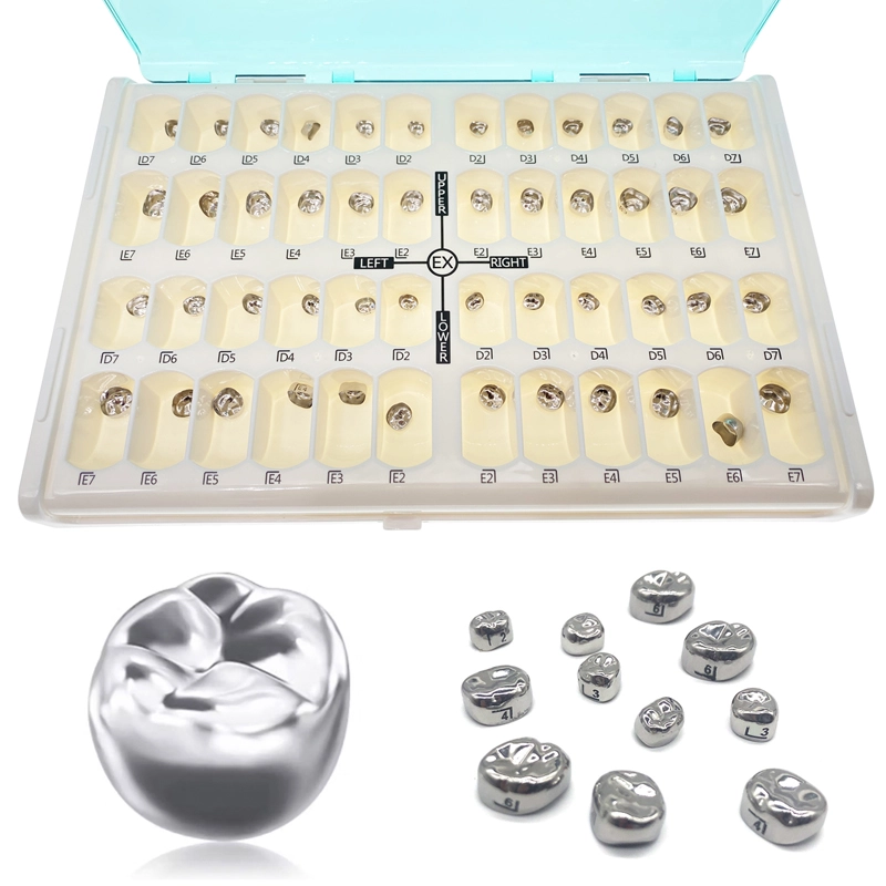 Dental Stainless Steel Adults Primary Molar Crown Pediatric Preformed 48Sizes