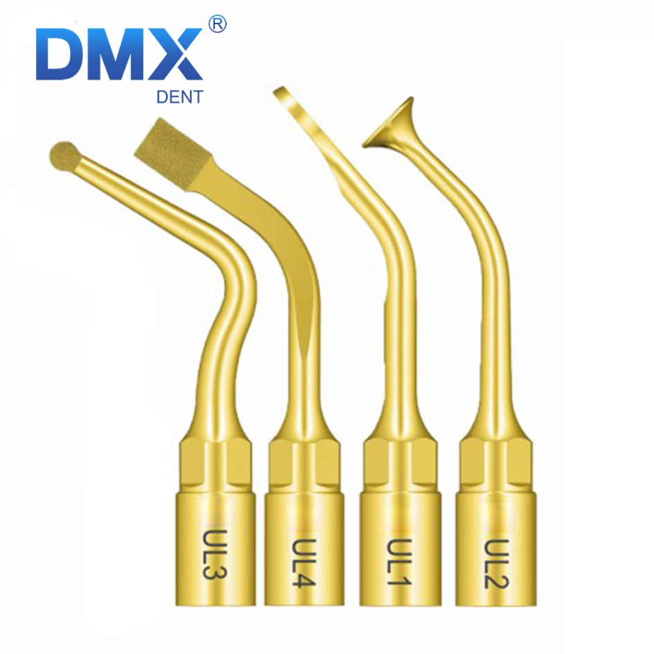 Punte Scaler Dentali GK1 10 ZEG Dental Spitzen Scaler Tip GK1 Fit KaVo ...