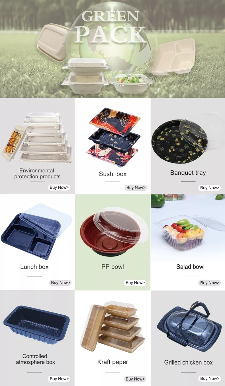 Bagasse Rectangle Container 1000ml with PET Lid 1x300,Biodegradable ...