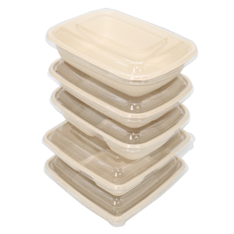 Bagasse Rectangle Container 1000ml with PET Lid 1x300,Biodegradable ...