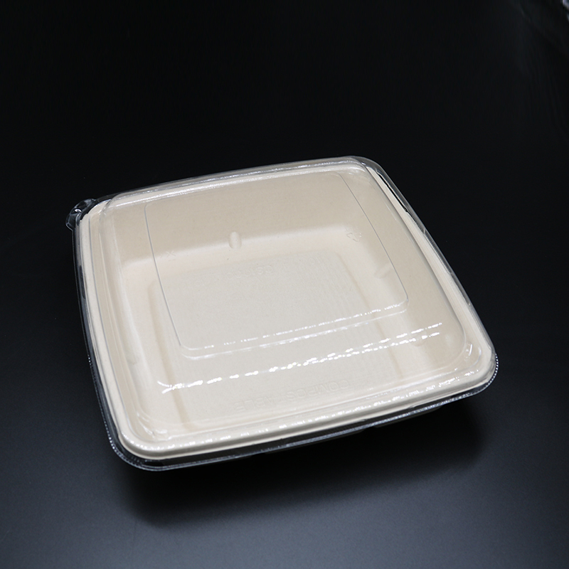 Bagasse Square Container 48oz Container with PET lid 1x300 pcs ...