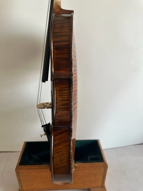 4/4 Violin Solid Guarneri model maple back old spruce top tortoise ...