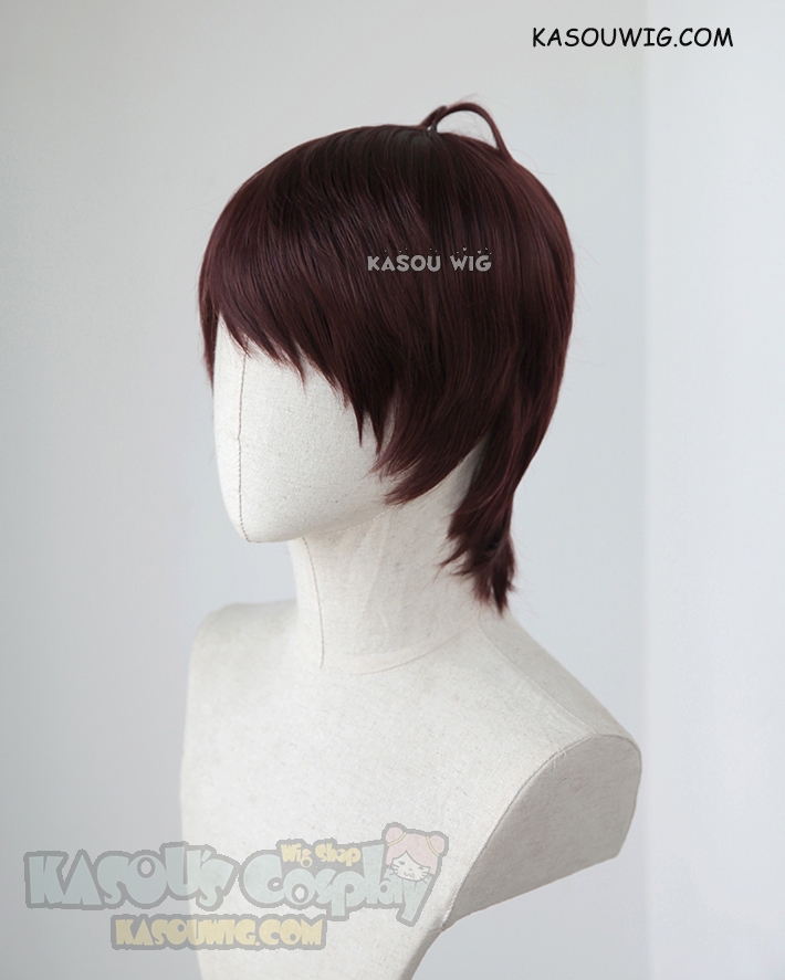 Voltron: Legendary Defender Lance short smooth reddish brown cosplay wig