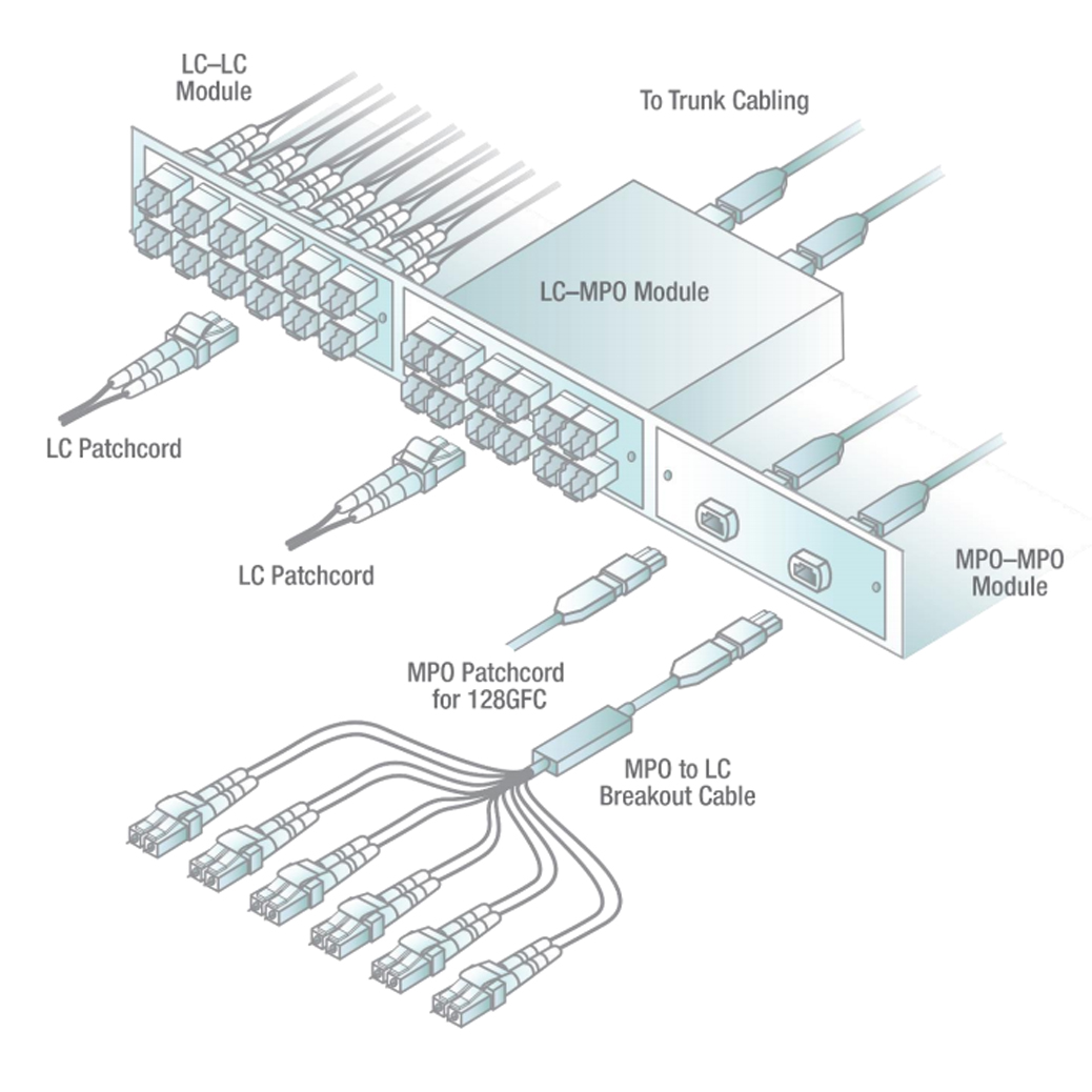 Raynool MPO Jumper OM4 UPC F to F 12 Fibers Type B OFNP Fiber Jumper