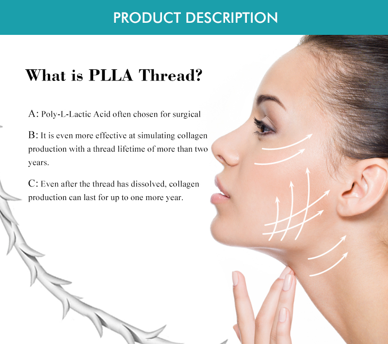PLLA Mesh Thread,PLLA Thread