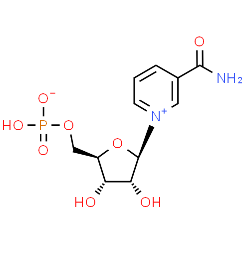 dna mononucleotide