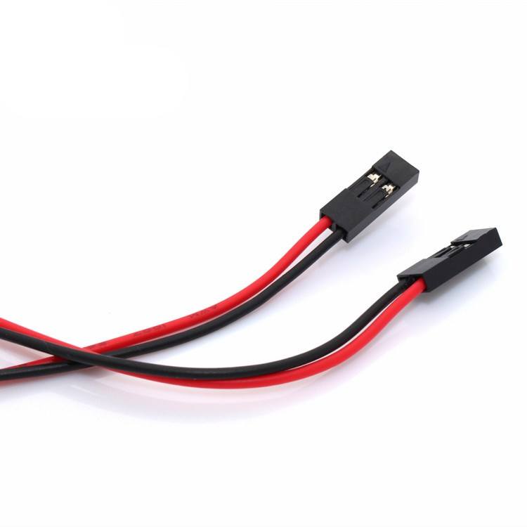 70cm 2 Pin Female-Female Dupont Cable