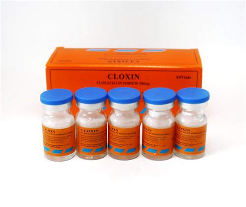 Cloxacillin sodium powder for injection,Antibiotic & Anti-virus