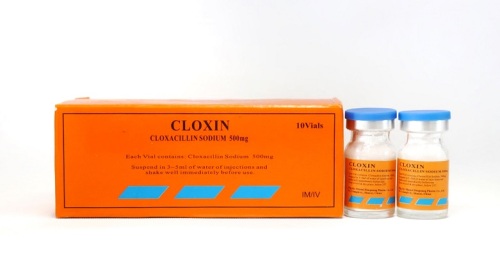 Cloxacillin sodium powder for injection,Antibiotic & Anti-virus