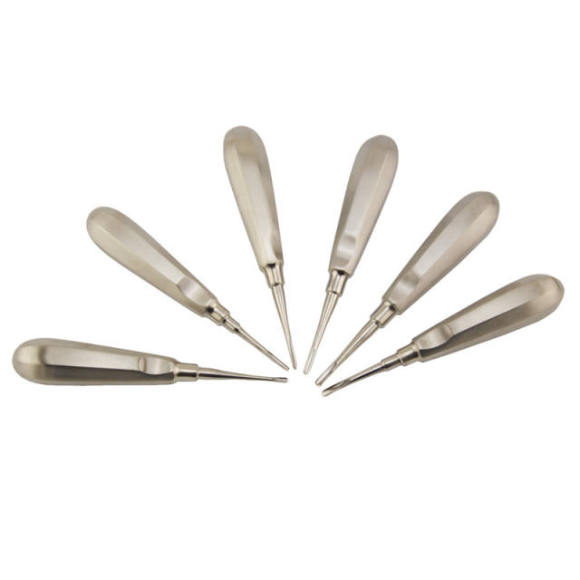 6Pcs/Kit Dental Straight Surgery Extracting Extraction Apical Root Tip ...