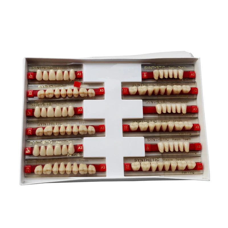 Dental Acrylic Resin Denture Teeth Color Upper Lower Shade A2 A3,Dental ...