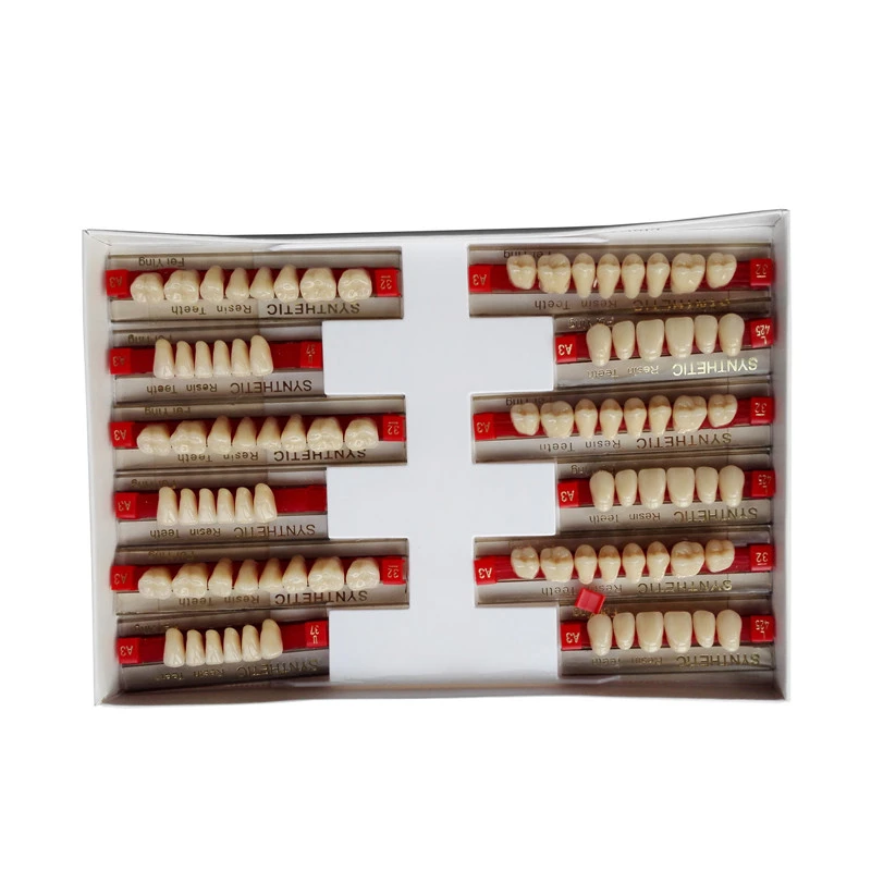 Dental Acrylic Resin Denture Teeth Color Upper Lower Shade A2 A3,Dental ...