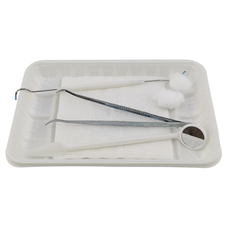 Basic Dental Instruments Set Mouth Mirror Explorer Plain Plier,