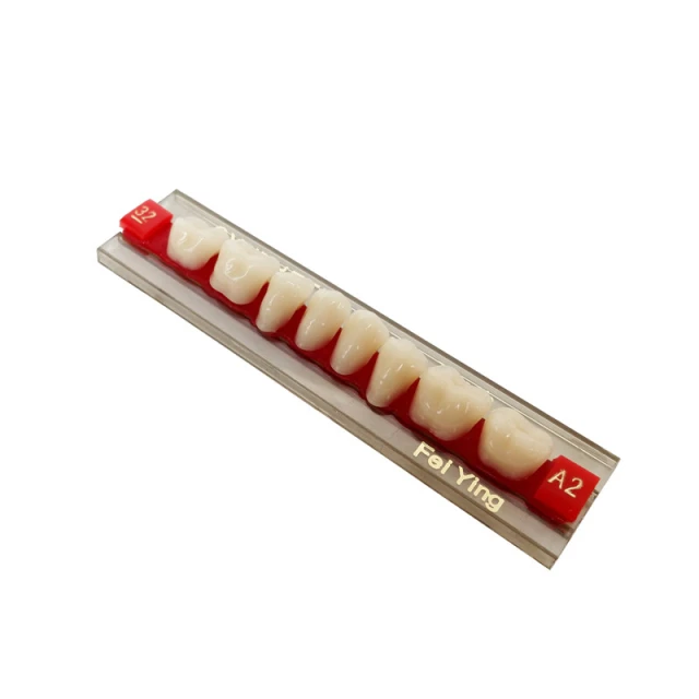 Dental Acrylic Resin Denture Teeth Color Upper Lower Shade A2 A3,Dental ...