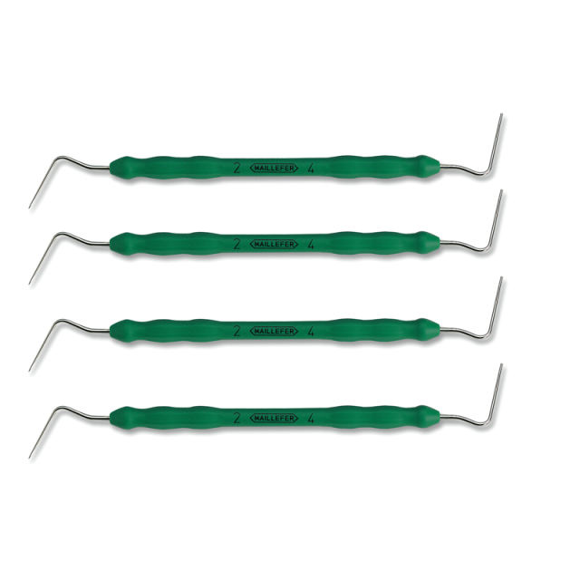`Dental Dentsply Maillefer Obturation Heat Carrier Plugger
