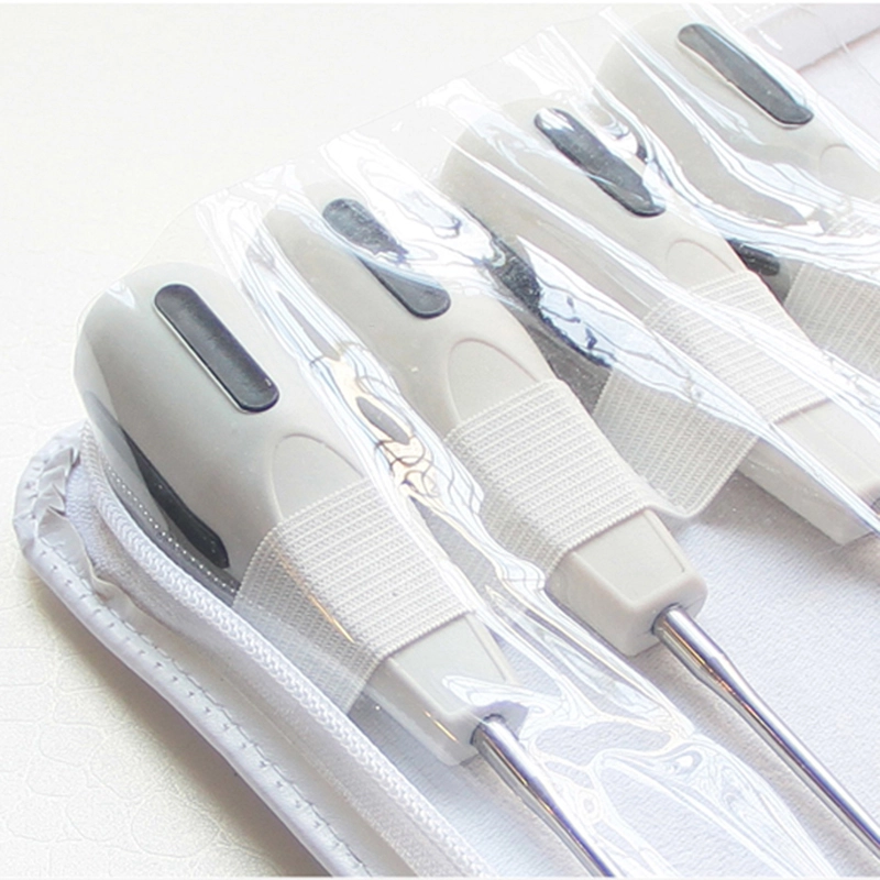 `Dental Surgical Tooth Extraction Root Elevators Luxating Apical Root Tip