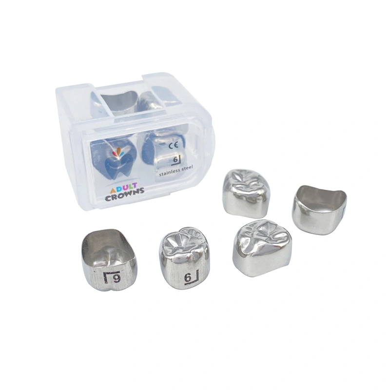 Dental Adult Permanent Molar Crowns Preformed Temporary Crown Stainless ...