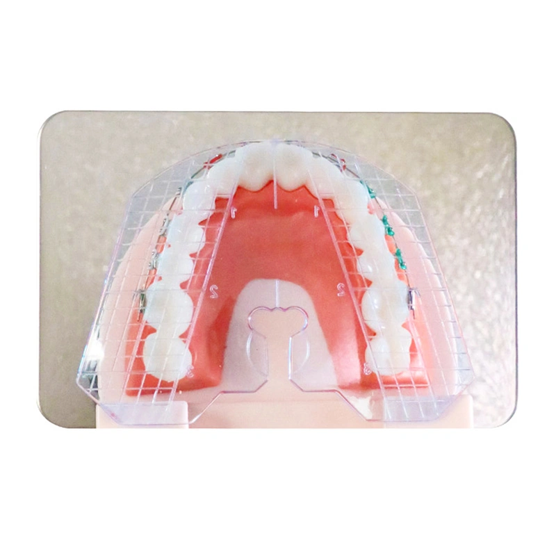 lower dental plate