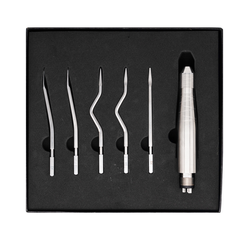 Boos Dental Oral Surgery Root Luxation Luxating Elevators Kit