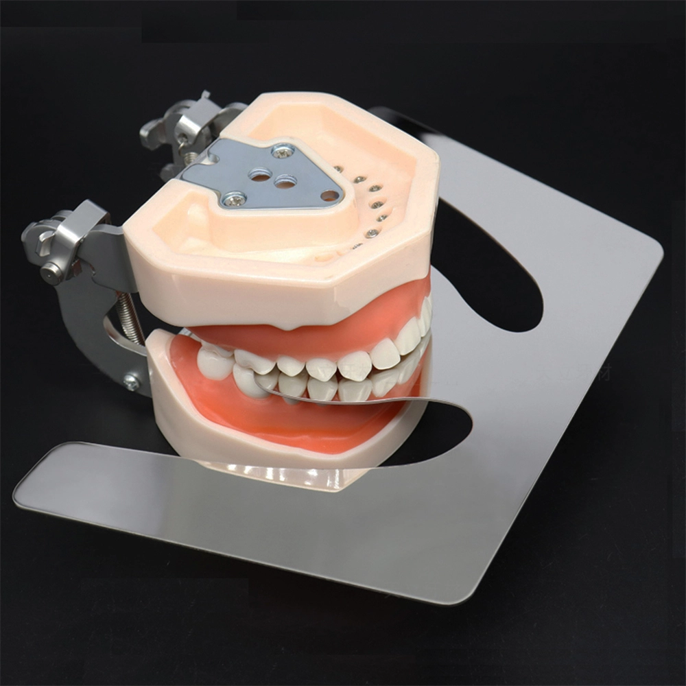 Dental Stainless Steel Autoclavable Occlusal Maxillary Casting Jaw Fox ...