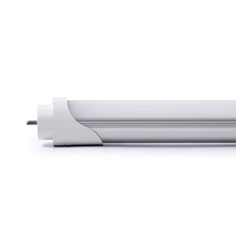 LONYUNG - ECO T8 LED Tubes for Retail Lighting Needs