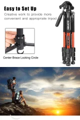 ZOMEi Q111 Portable Camera Tripod - Best Choice for Beginner and Amateur