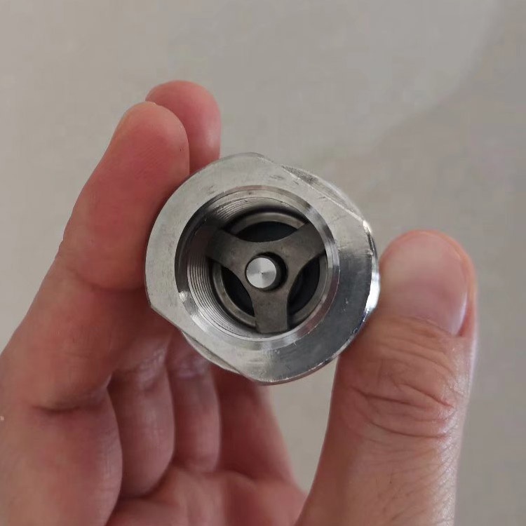 Stainless steel filter spring vertical water pump foot check valve ...