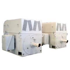 Elom-WPII TEAAC TEWAC NEMA 高压电机