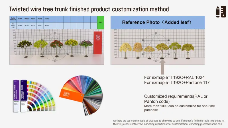 Customized Dedicated Link