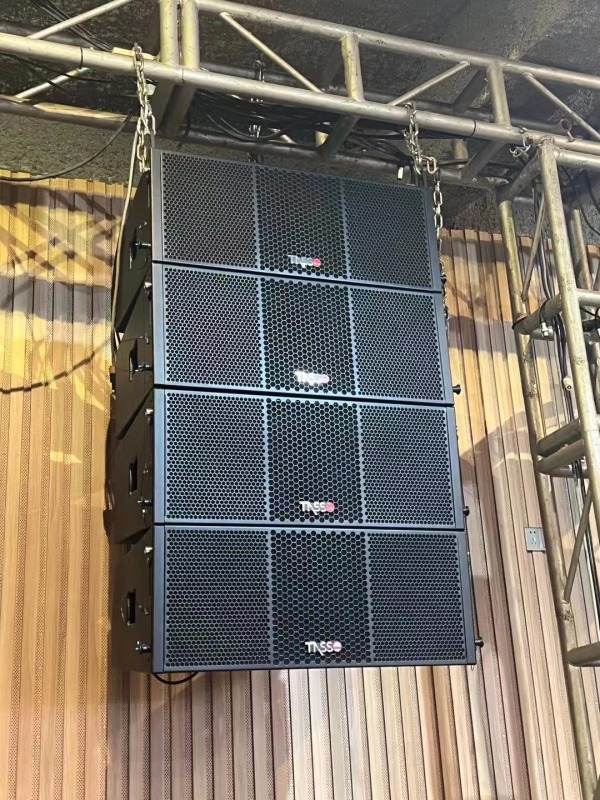 New arrival PT610 double 10 inch line array with flying 18 inch sub