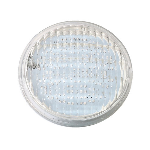 Glass LED PAR36 reflector lamp bulb, low voltage input, waterproof and ...