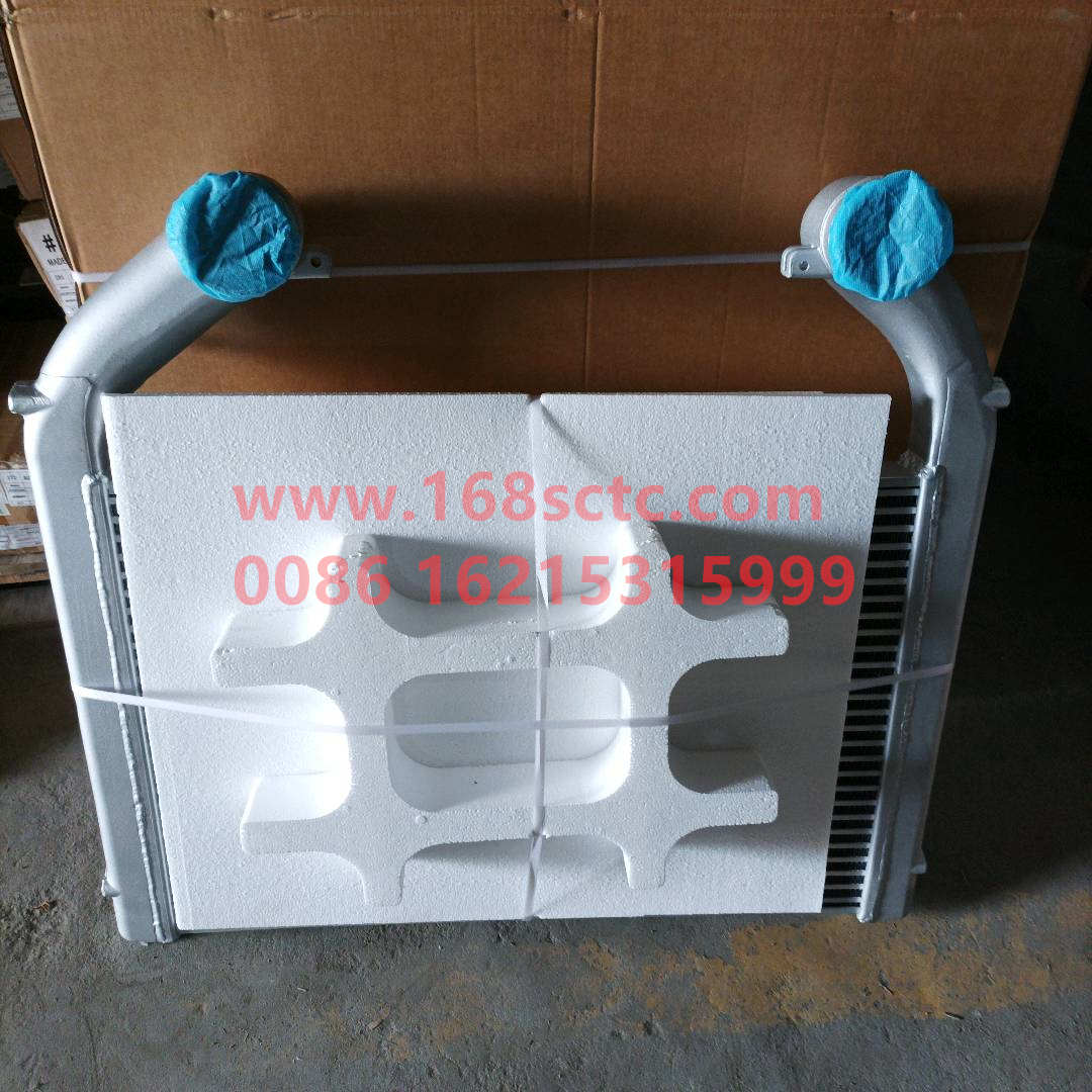 WG9925530247,Engine Parts