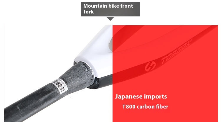 TOSEEK Carbon Fiber Mountain Bike Fork - Rigid Disc Brake 26/27.5/29 ...