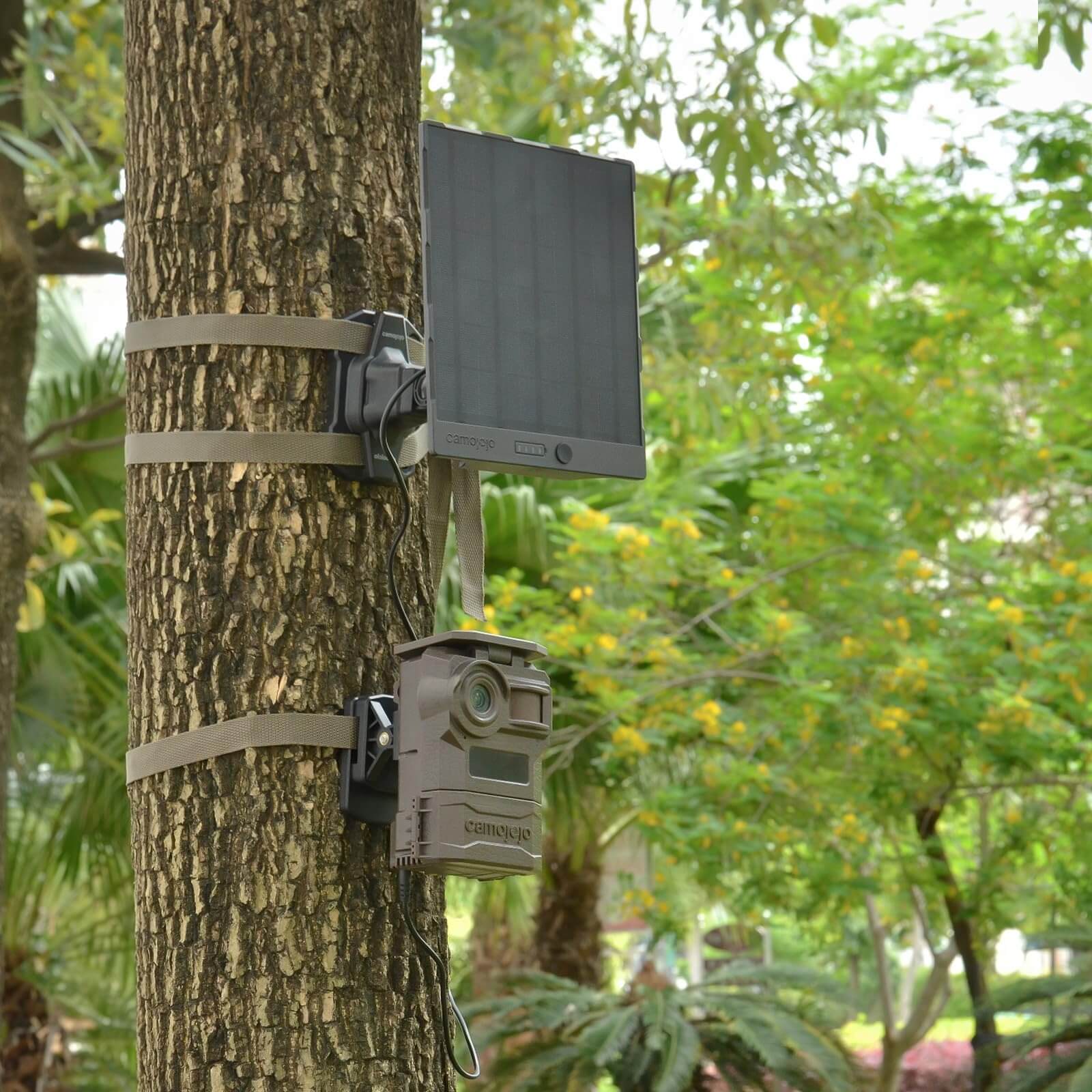 Camojojo Trail Cameras Mounting Bracket with 360° Rotating Adjustable ...