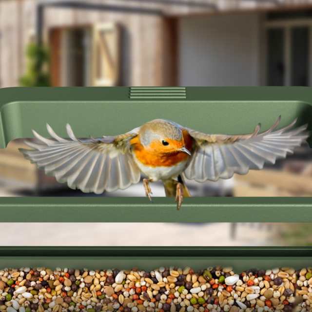 Elevate BirdWatching Experience with Camojojo HiBird Smart Bird Feeder