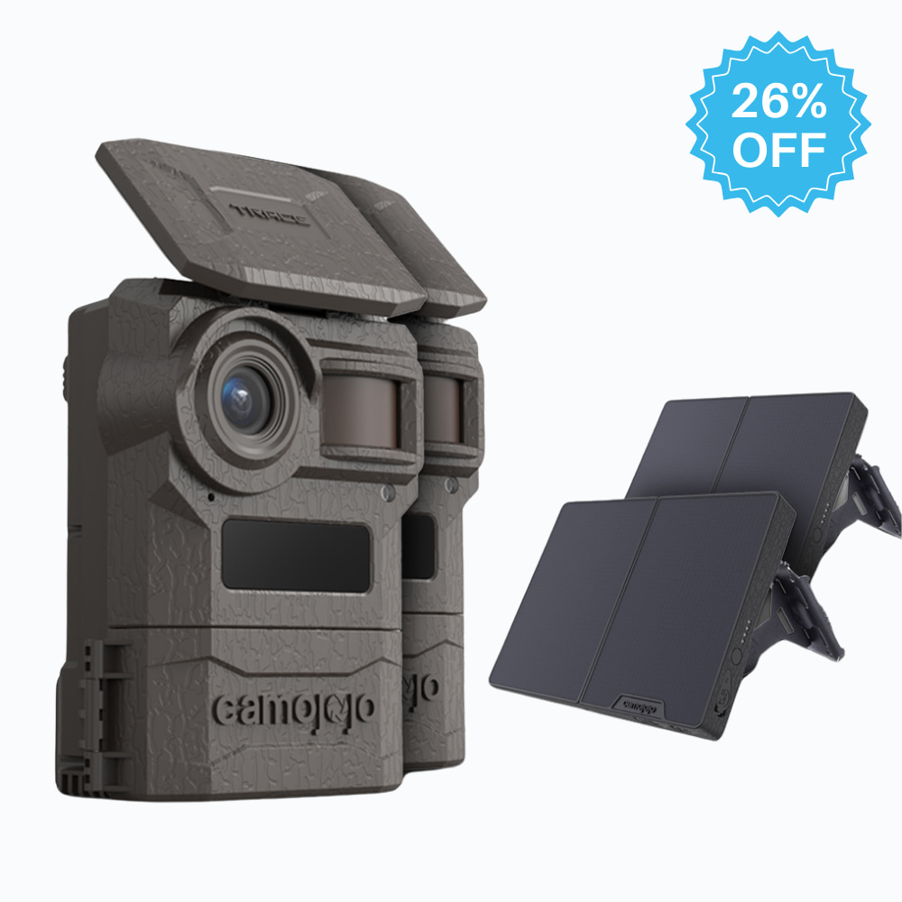 Camojojo Trace the Best Video Sending Cellular Trail Camera